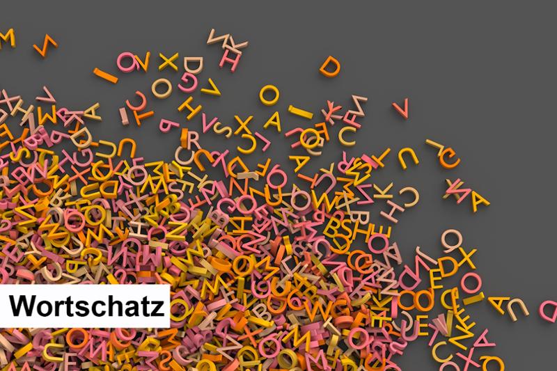 Wortschatz – SchulArena.com Shop